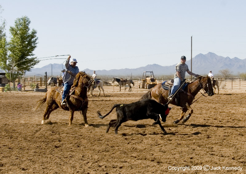 Team Roping November 15, 2009